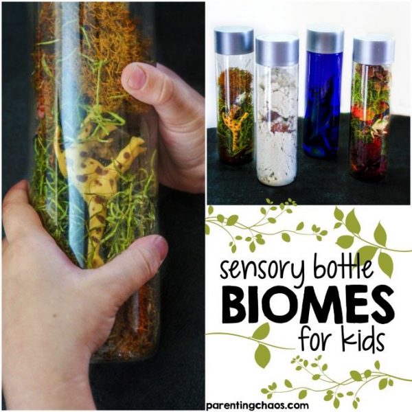 Developmental Benefits of Sensory Bottles + Ideas on How to Make Them!