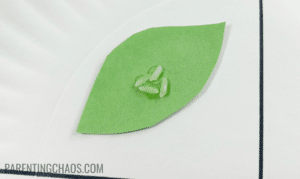 Learn about the Butterfly Life Cycle with this Fun Paper Plate Craft! ⋆ ...