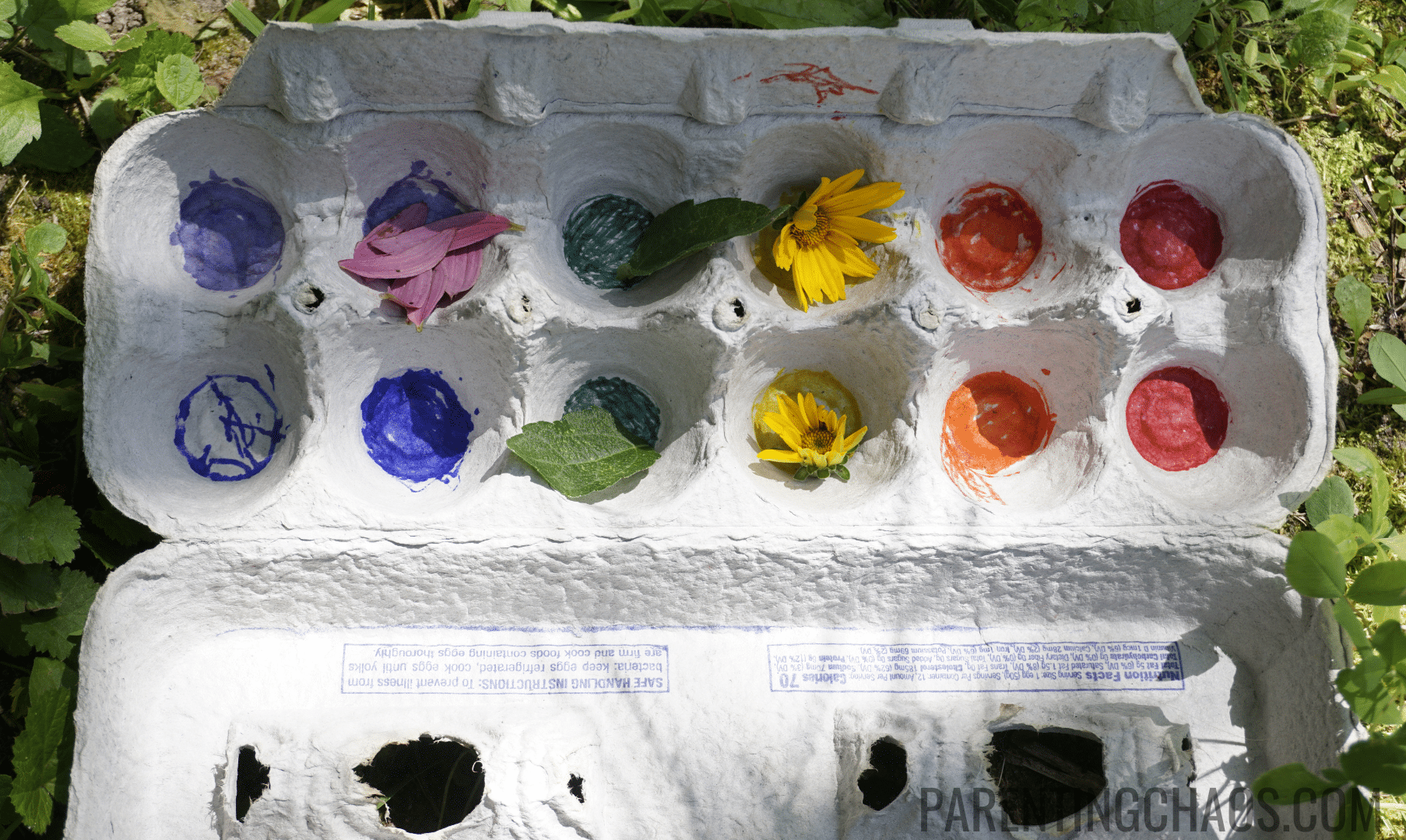 Nature Color Scavenger Hunt ⋆ Parenting Chaos